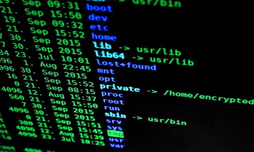 How To Save All Terminal Output To File Fedingo