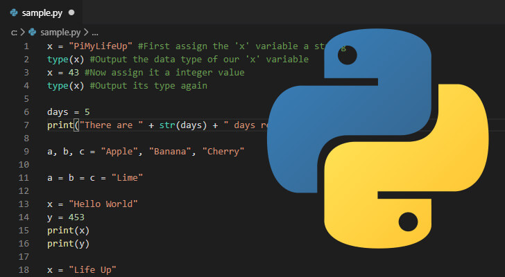 How To Check If Variable Is Number In Python Fedingo